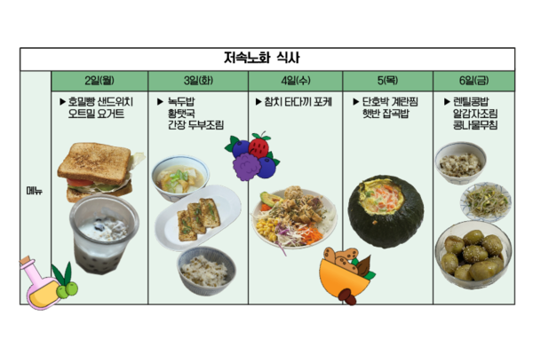 직접 '저속노화' 해봤습니다